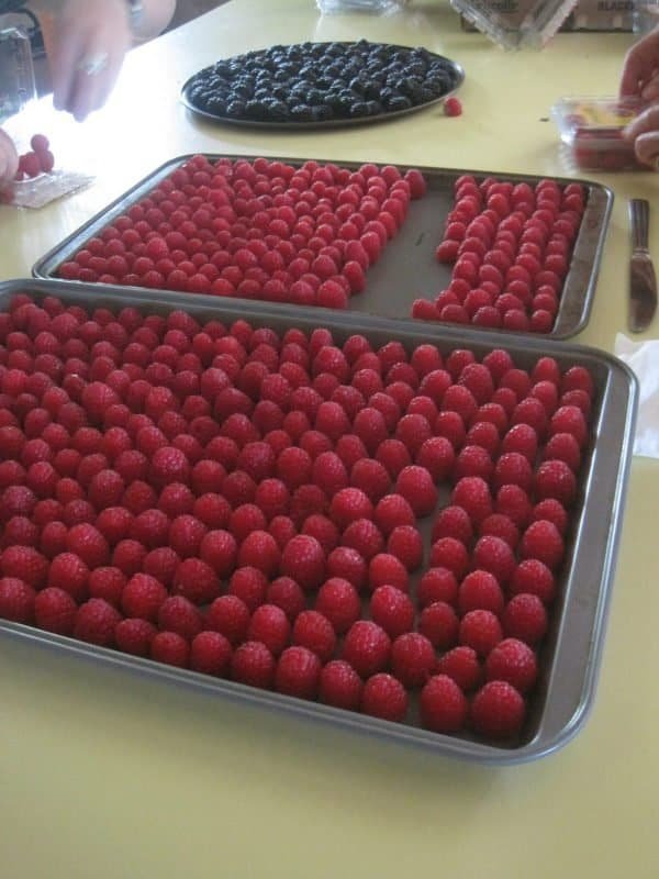 Freezing Raspberries | Easy Way to Freeze Berries