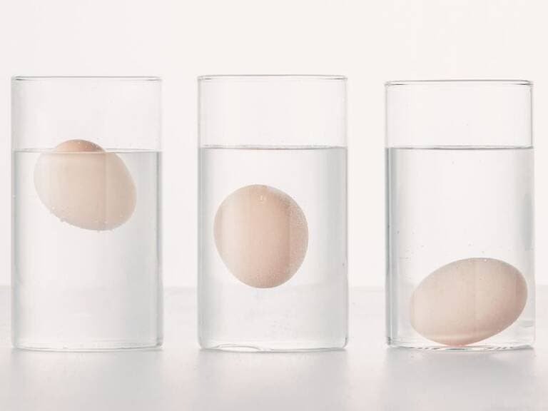 SIMPLE EGG FLOAT TEST: How to Test for Egg Freshness