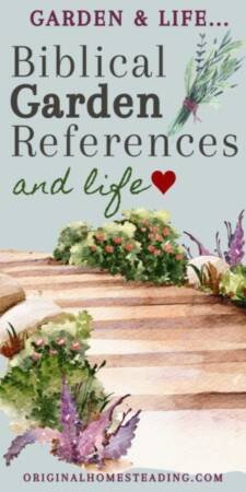 Bible Verses on Gardening & Life
