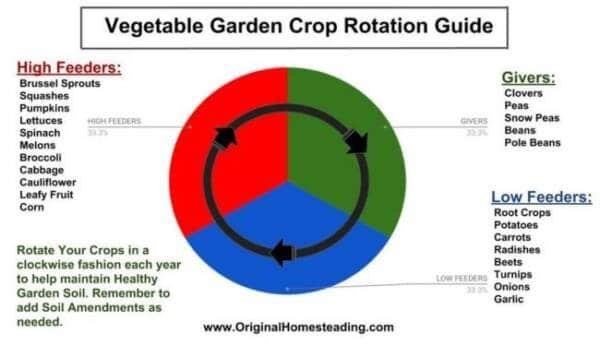 Vegetable Garden Crop Rotation | An Easy Garden Guide
