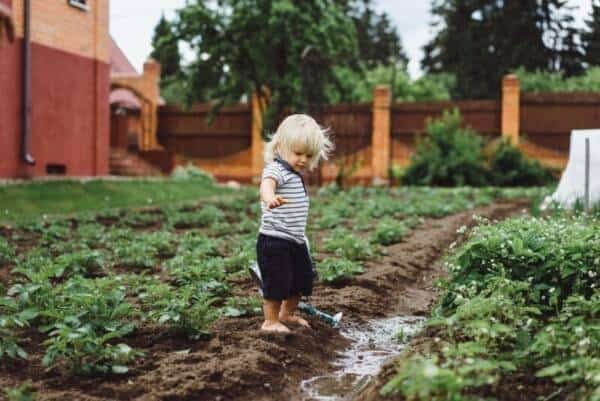 Easy Homesteading Skills To Teach Your Children Today
