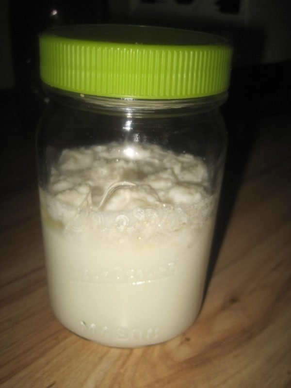 LEARN to MAKE HOMEMADE MILK KEFIR | A Probiotic Rich Drink