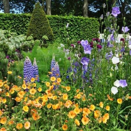 Timeless Garden Quotes That Are Sure to Make You Smile