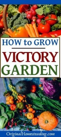 Growing a Victory Garden at Home in Containers & Pots